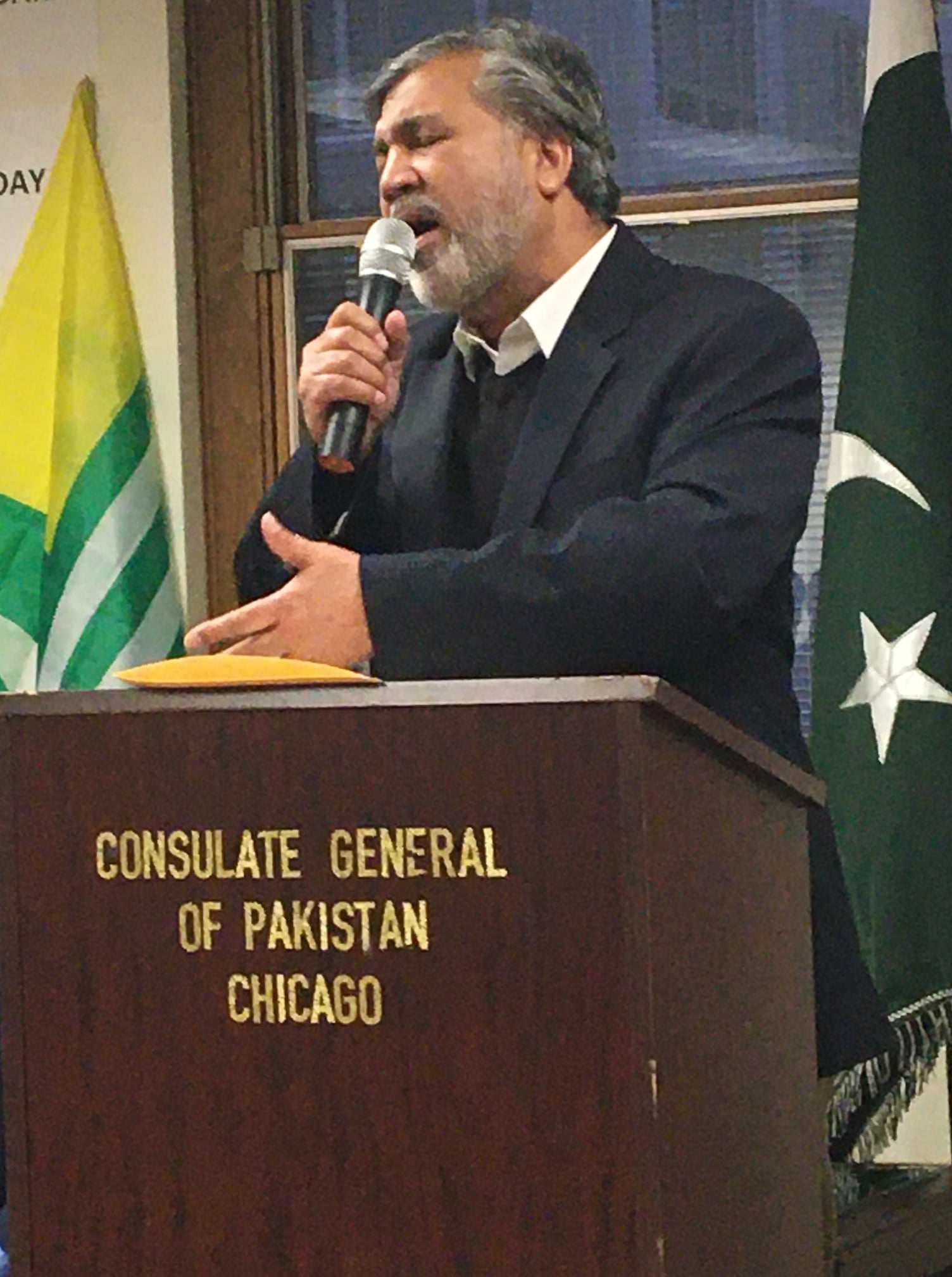 Kashmir Solidarity Day observed in Chicago - Consulate General of The ...
